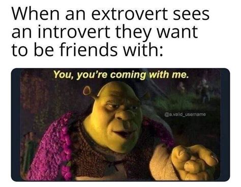 50 Introvert Vs Extrovert Memes That Will Make You Go Oh Yeah Thats