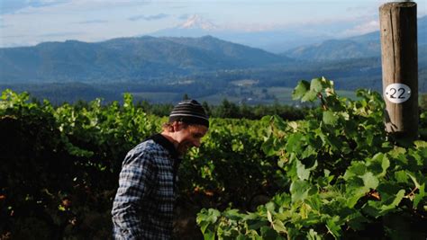 Analemma Wines T Edward Wines And Spirits