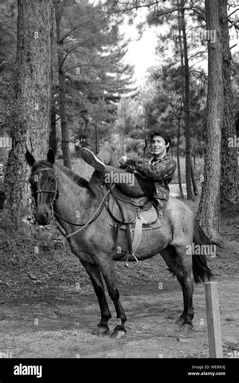 Junge Auf Dem Pferd Fotos Und Bildmaterial In Hoher Auflösung Alamy