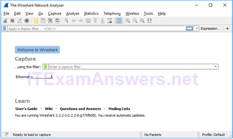 7 3 1 6 Lab Exploring DNS Traffic Instructor Version