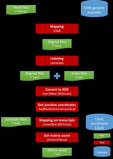 fig s1 the bioinformatics pipeline that computes the read count download scientific diagram