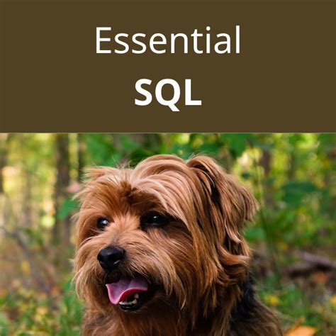 Essential Sql A Free Sql Programming Book
