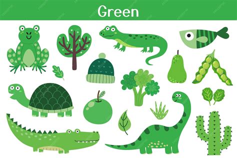 Conjunto De Objetos De Color Verde Colores De Aprendizaje Para Niños