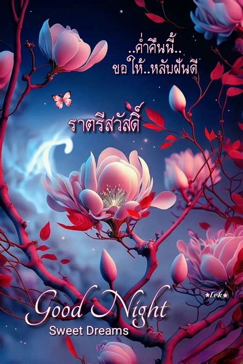 ราตรีสวัสดิ์ Good Night Sweet Dream S ราตรีสวัสดิ์  ราตรี
