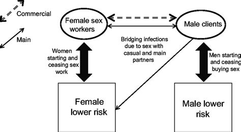 Outline Of The Main Aspects Of Sexual Behaviour Structure And Download Scientific Diagram