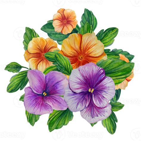 Colorful Pansies Watercolor Illustration 23521041 Png