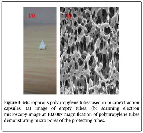 Capsule Phase Microextraction The Total And Ultimate Sample Prep