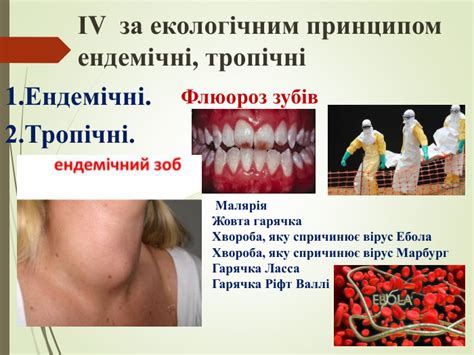 Презентація Профілактика захворювань людини