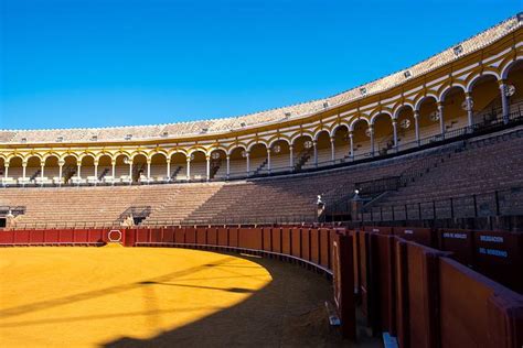 2025塞维利亚斗牛场游玩攻略 专人西班牙语及英语双语解说 【去哪儿攻略】