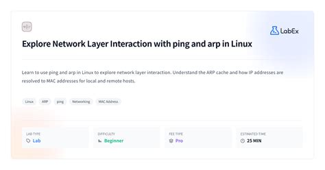 Explore Network Layer Interaction With Ping And Arp In Linux Labex
