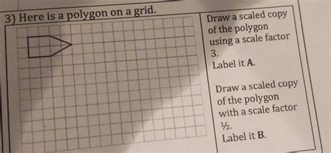 Solved Draw A Scaled Copy Of The Polygon Using A Scale Factor Label It
