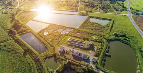 Фонд мениджър на финансови инструменти в България Fmfib