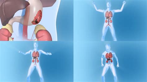 脾胃不和生病肾虚脾虚视频素材下载