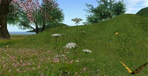 Sex And Others Flickr