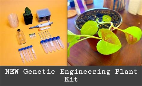 We Are Having A 40 Off Sale For All Of Our Genetic Engineering Kits