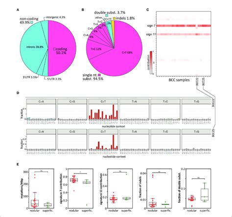 mutation distribution mutational signatures and comparison of