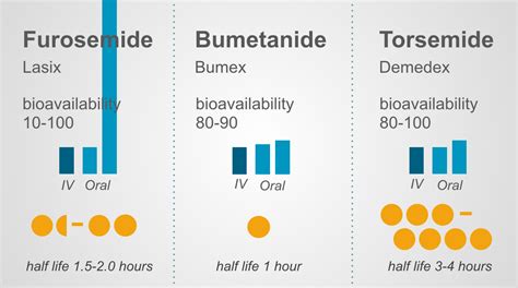 Diuretic Infographics Precious Bodily Fluids