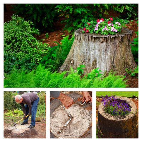 How To Make A Tree Stump Planter Cool Creativities