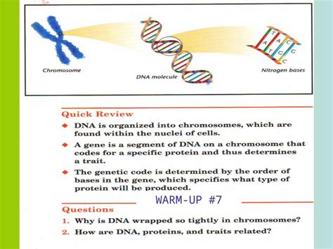 Ppt Dna Notes Dokumentips