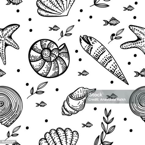 매끄러운 패턴 스케치 스타일로 손으로 그린 바다 생물 조개와 해초 흰색 배경 격리 여름 대양 평면 디자인 벡터 일러스트레이션