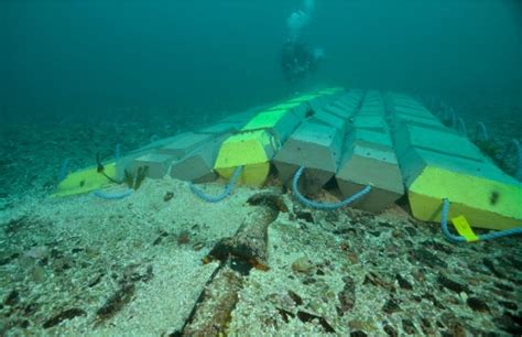 Table 1 From A Review Of Potential Impacts Of Submarine Power Cables On The Marine Environment