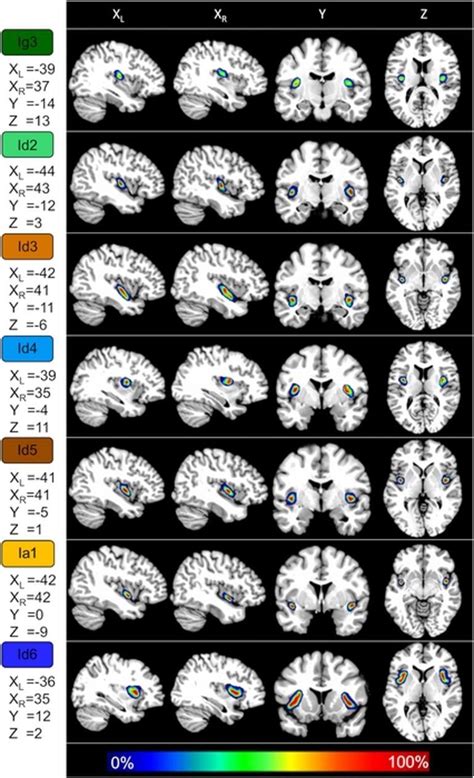 Seven New Areas In The Insular Cortex Identified Neuroscience News