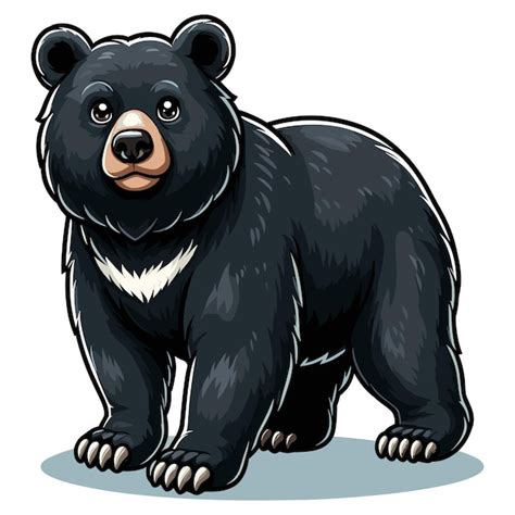 Ilustración De Dibujos Animados Del Oso Negro Vector Premium