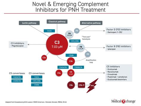 Paroxysmal Nocturnal Hemoglobinuria Targeting Unmet Needs With Newest Proximal Complement