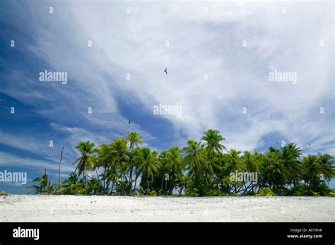 Tepuka Island Off Funafuti Tuvalu Vlnerable To Global Warming Induced