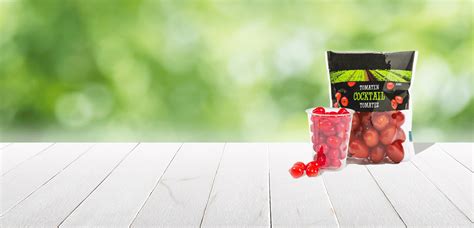 Complete Sustainable Tomato Packaging Solutions Jasa