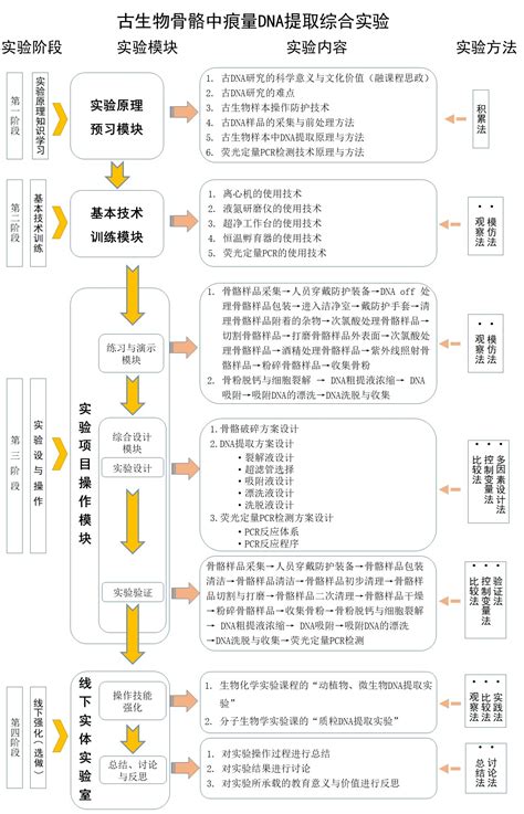 实验详情