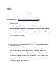 Activity Sex Surrogates Docx Activity HDFS Summer Sex Surrogates Instructions