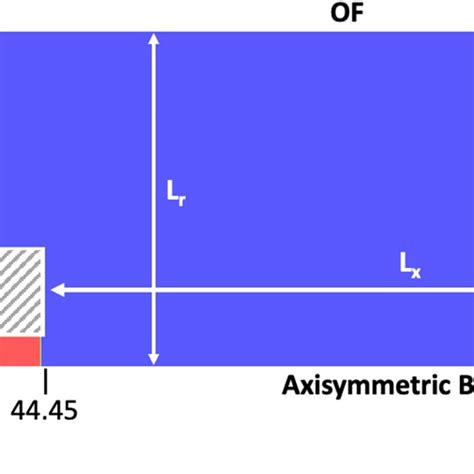 Initial Conditions For Simulation Of The Experiment With Dimensions And