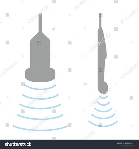 Curvilinear Probe Ultrasound