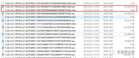Mhd格式三维图像显示常见医疗图像处理步骤 Csdn博客