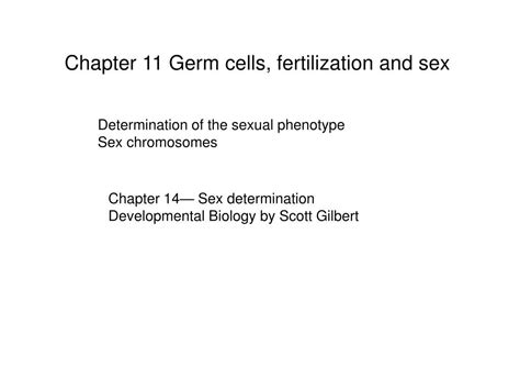 PPT Chapter 11 Germ Cells Fertilization And Sex PowerPoint Presentation ID 2131009