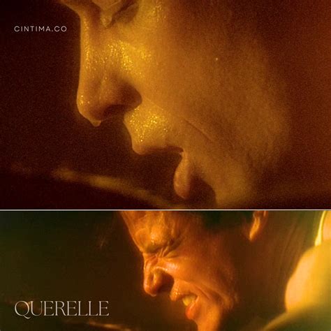 Intimacy Analysis Querelle Cintima