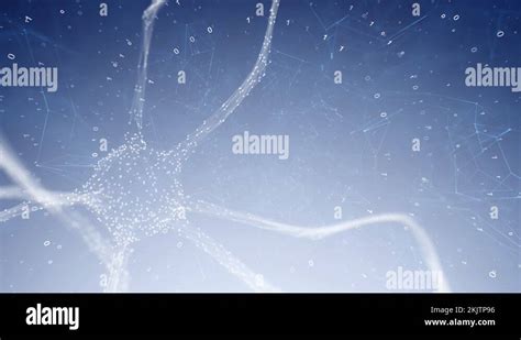 Binary Neuron Stock Videos And Footage Hd And 4k Video Clips Alamy