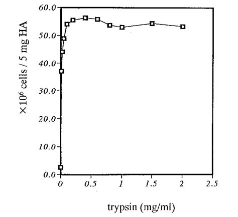 Effect Of Trypsin Concentration On P Nigrescens Cell Attachment To HA Download Scientific