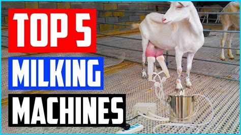 Top 5 Best Goat Milking Machines Of 2023 The Guide For Every Livestock