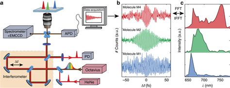 The Concept Of Broadband Single Molecule Excitation Spectroscopy A Download Scientific