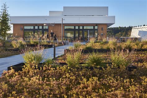 Recent Report Shows Building Decarbonization Successes Gglo