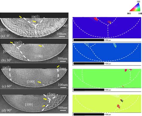 Transverse Section Micrographs And Corresponding Ebsd Maps For A ξ Download Scientific