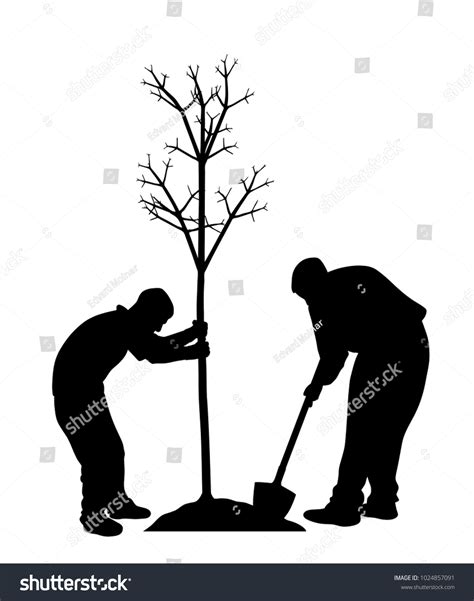 Man Planting Tree Stock Illustrations Images Vectors Shutterstock