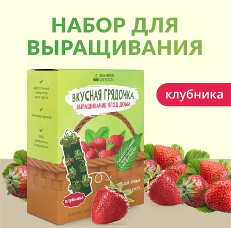 Вкусная Грядочка Набор для выращивания клубники «Быстро вырастили клубнику отзывы