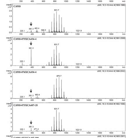HPLC MS Analysis Showed Molecular Masses M H H O Of Da Download Scientific Diagram