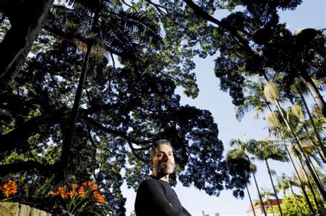 More Than 90 Per Cent Of Tree Species At Risk In Sydney And Melbourne