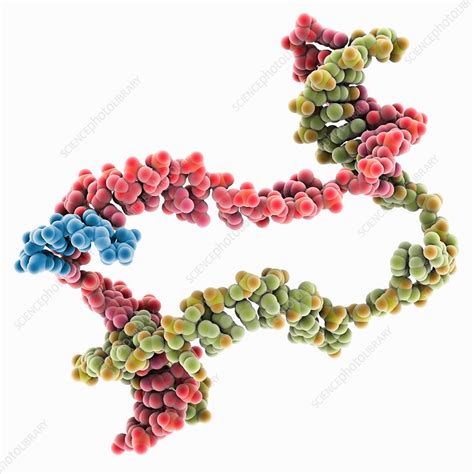 RNA Synthesis Stock Image C Science Photo Library