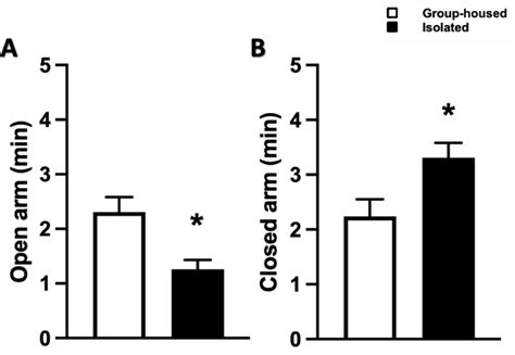 Video Social Isolation Model A Noninvasive Rodent Model Of Stress And