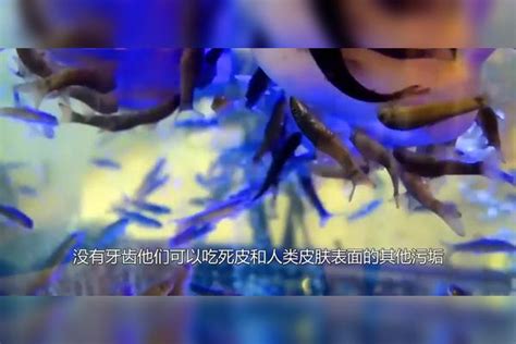 美女做全身鱼疗没想到鱼刚钻进去命就没了镜头记录全过程 鱼刚 全身 镜头